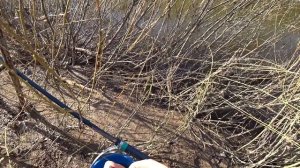 на РЫБАЛКУ. Мини Открытие Весеннего Сезона #рыбалка #б?