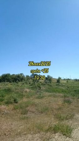 28-05-2025