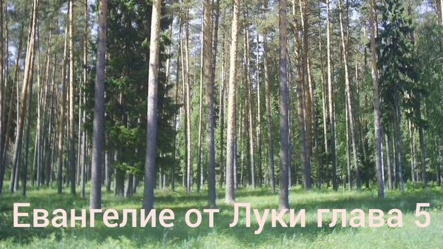 Библия Евангелие от Луки глава 5