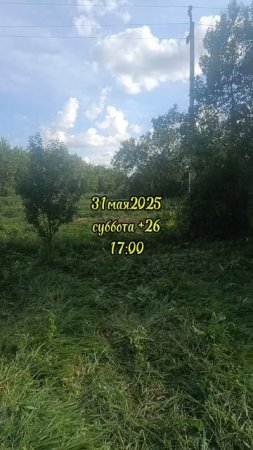 31-05-2025