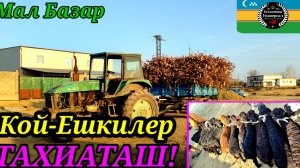 14-06-2025 СКОТНЫЙ РЫНОК -МАЛ БАЗАР 🐐