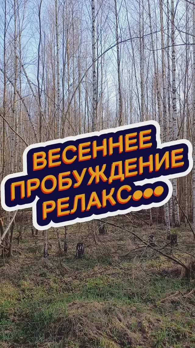 Весеннее пробуждение. Релакс 💯👍