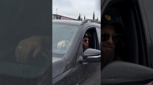 VIP и luxury Авто со всего мира к Вам домой Rolls,Ferrari,Mercedes,BMW, Porsche,Urus,McLaren,Bentley