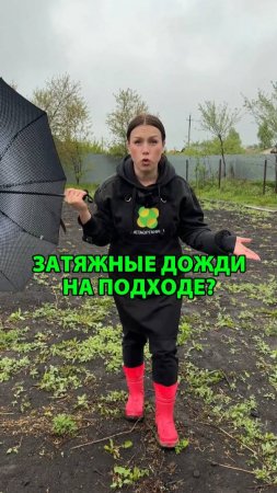 Как защитить огород и теплицу от дождей