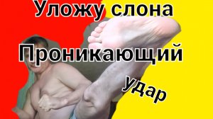 "Умный "говорит, что этим ударом только женщину можно сложить пополам. Ответ на комментарий.