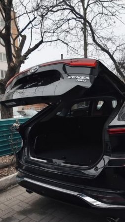 TOYOTA VENZA