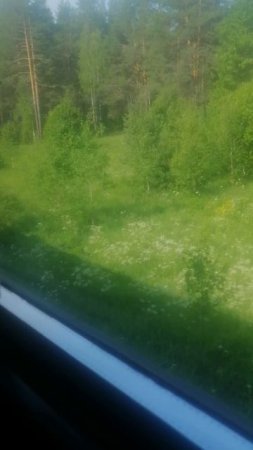 Едем на дачу