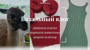 Вязальный влог 14/25 | Довязала самое женственное платье, кормили животных и швейные новости