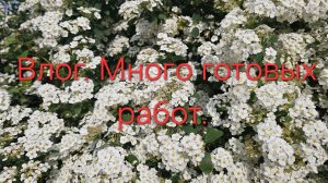 Влог. Много готовых работ