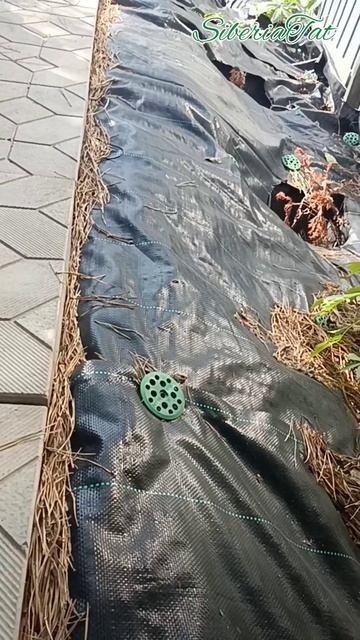 💯% МАЛОУХОДНАЯ ДАЧА