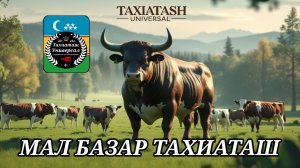 14-06-2025 СКОТНЫЙ РЫНОК -МАЛ БАЗАР 🐄
