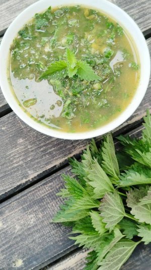 Веганские зеленые щи с крапивой и щавелем