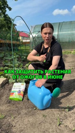 Как защитить растения от ожогов в июне