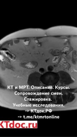 16 апреля 2025 г.
