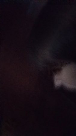 1000000169.mp4
