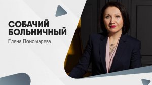 Является ли уважительной причиной неявки на работу визит к ветеринару? - Елена Пономарева