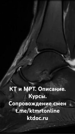 13 апреля 2025 г.