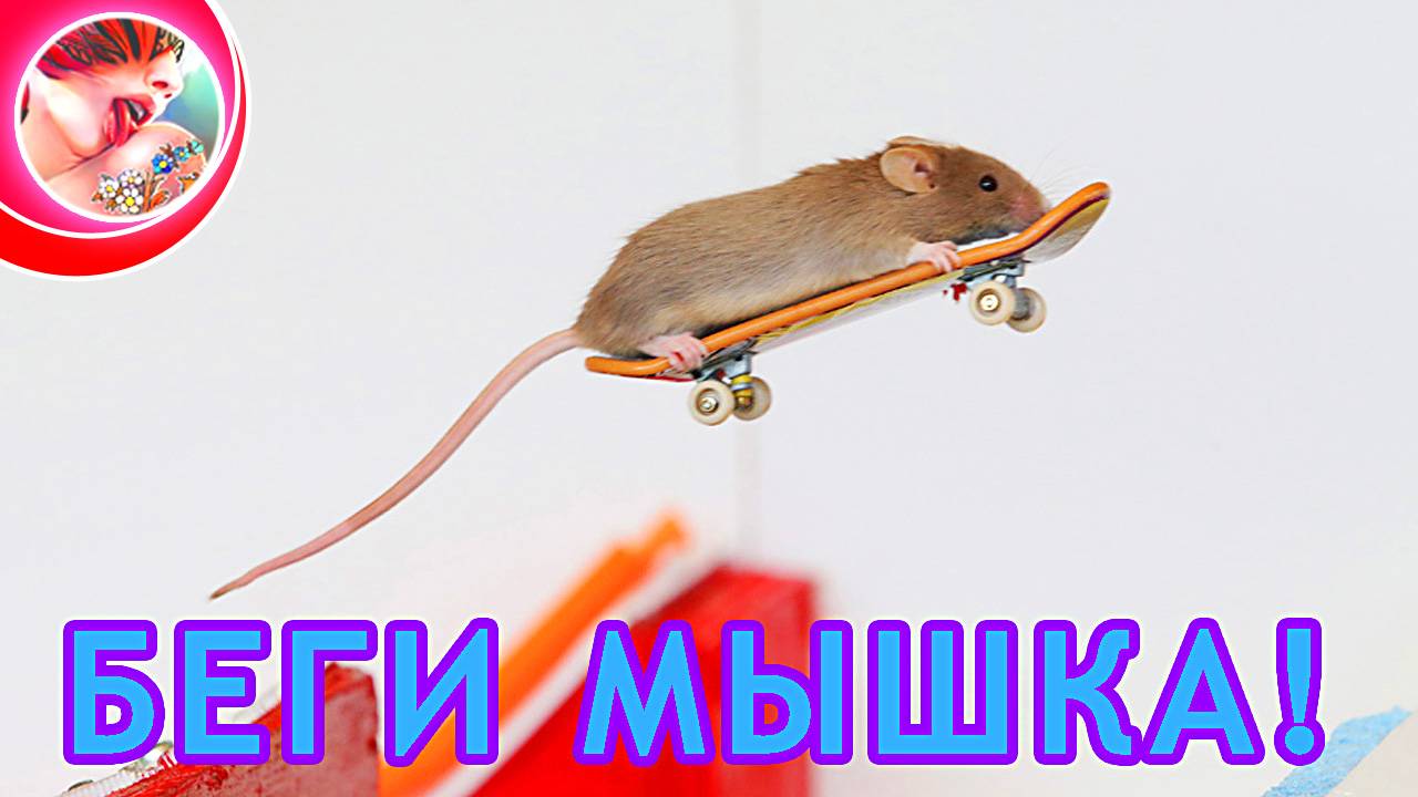 Как выпустить мышь