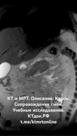 15 апреля 2025 г.