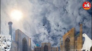 Бойные голуби порода: "Самаркандские" Чистопородные голуби. Номер _1_ в мире по качеству игры! 🇺🇿☝