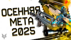 МОДЫ НА TYPE 97,WINCESTER,XM8 COMPACT И M14 СКОРО В ВАРФЕЙС!ОСЕННЯЯ МЕТА 2025 И ТОП ОРУЖИЕ WARFACE!
