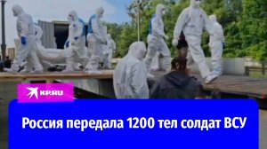 Россия передала Украине тела 1200 солдат ВСУ в рамках стамбульских договорённостей