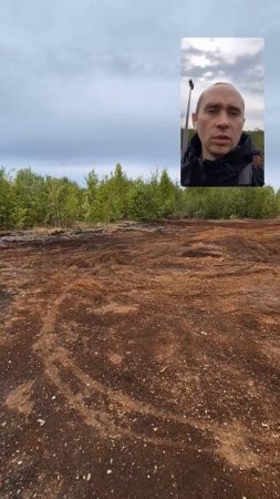 Свалка лигнина от гидролизного завода, уже всё заросло