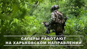 Разминирование территорий военнослужащими ГрВ «Север»