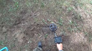 Места решают. Новое место в старом лесу