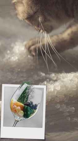 Откуда в вине резина, кожа и котики?