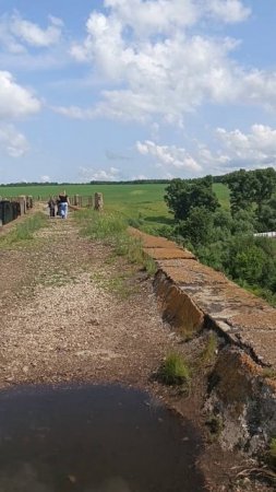 Магия среди нас) В следующем ролике...