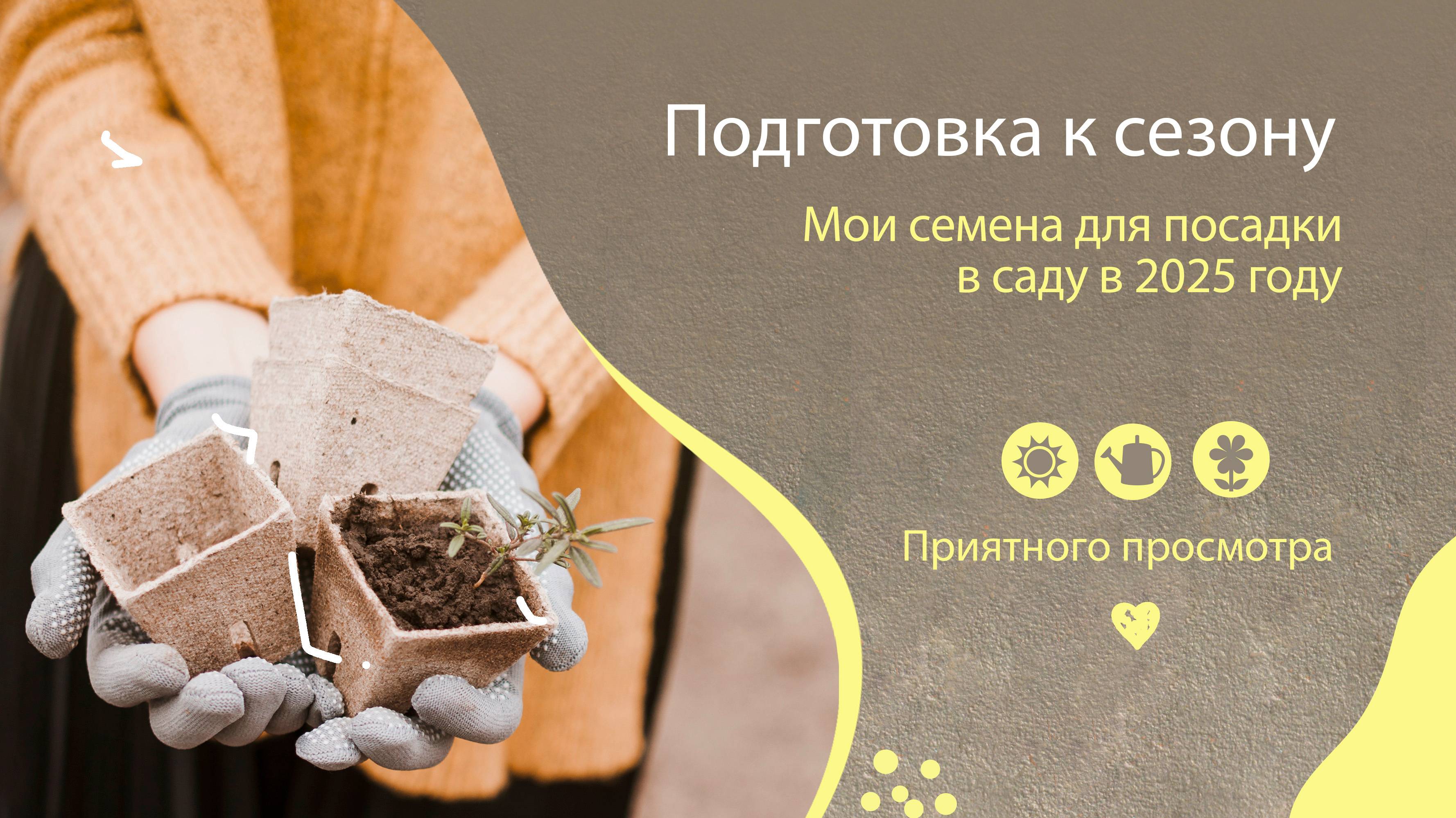 Подготовка к сезону 2025. Мои семена. Что я буду сажать в этом году.