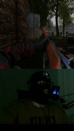 Заценил Мосинку GAMMA #anomaly #stalkergamma #stalkeranomaly #gamma #stalker