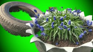 Как сделать клумбу ИЗ старых покрышек