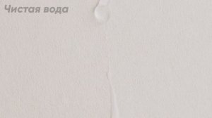 Тест влагостойких флизелиновых обоев Lotus от нового бренда Loymina Materials