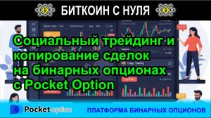 Копирование сделок, социальный трейдинг - отлично для заработка на бинарных опционах с Pocket option