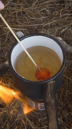 Лучшее лакомство на природе