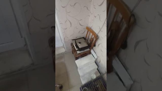 Жена мне прислала видео из дома