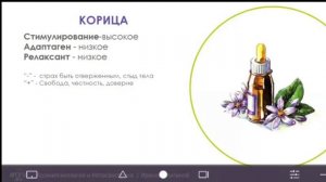 Темная сторона корицы