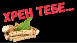 Честность Homo Sovetikus.