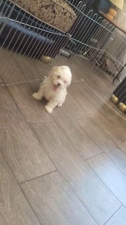 готовимся к переезду