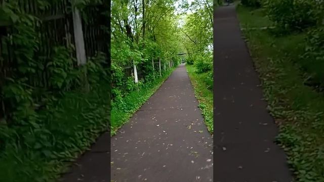 Закат, друзья и беззаботность — летний вечер-Cleaning shadow on street