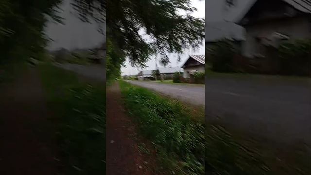 Вечерняя прогулка: тепло, дружба и хорошее настроение!-Cleaning shadow on street