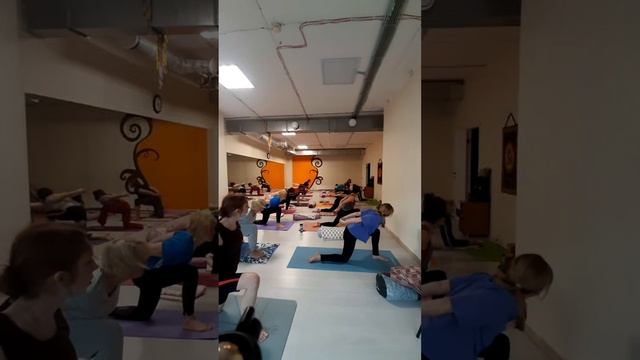 Хатха йога для начинающих. Активный комплекс в период растущей Луны.