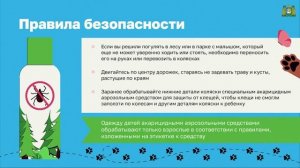 Укусы клещей