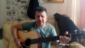 Жёлтые листья.