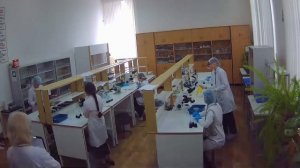 Демонстрационный экзамен ЛХА