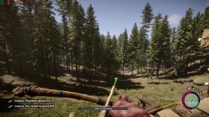 Sons of the Forest, мммм человина