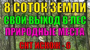 Продается земельный участок 8 соток с хоз.блоком около леса в СНТ Искож - 6, Александровский район