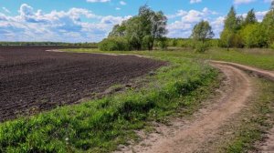 "В СТАРИННОМ ВКУСЕ"... (Фото Юрия МОРОЗОВА (Рязань), музыка Доменико. СКАРЛАТТИ (1685-1757))